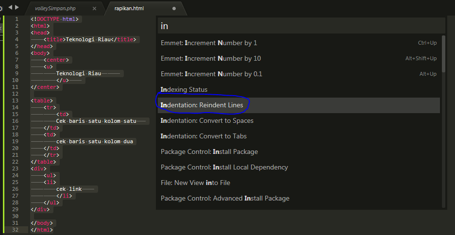 Cara merapikan script di Sublime Text - Teknologi Riau
